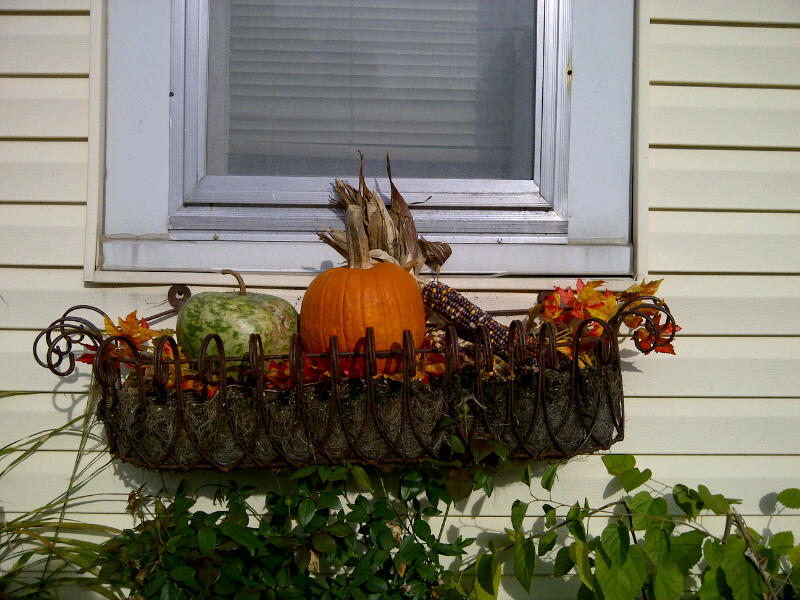 Wrought Iron Country Wire Window Boxes