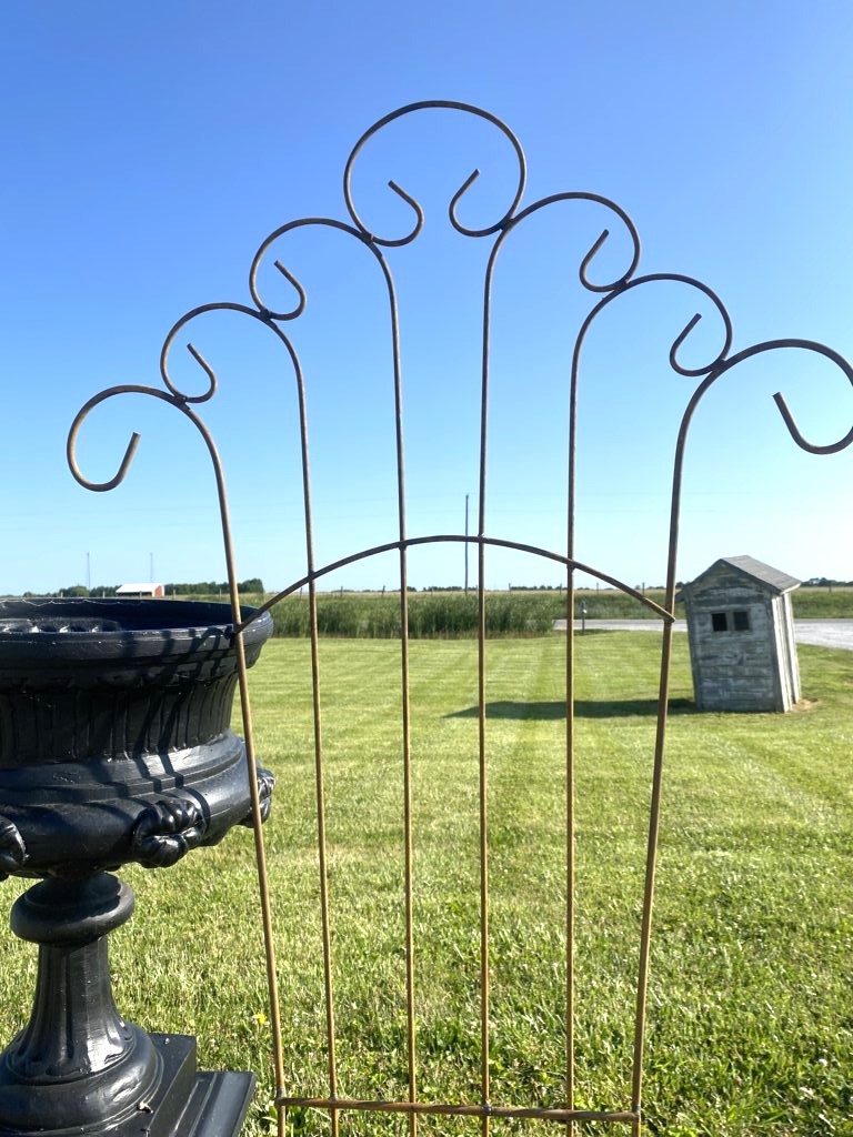 62" Wrought Iron Eight Curl Trellis Plant Support