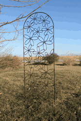 68" Wrought iron Daisy Trellis Plant Support