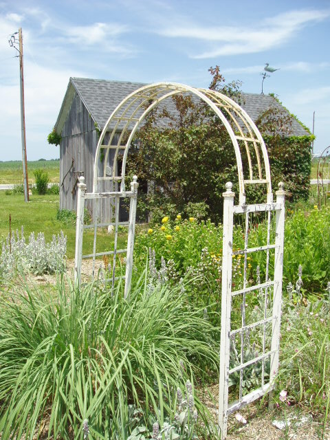 Wrought Iron Dome Ivy Climb Arch - Garden Trellis