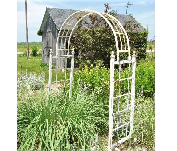Wrought Iron Dome Ivy Climb Arch - Garden Trellis
