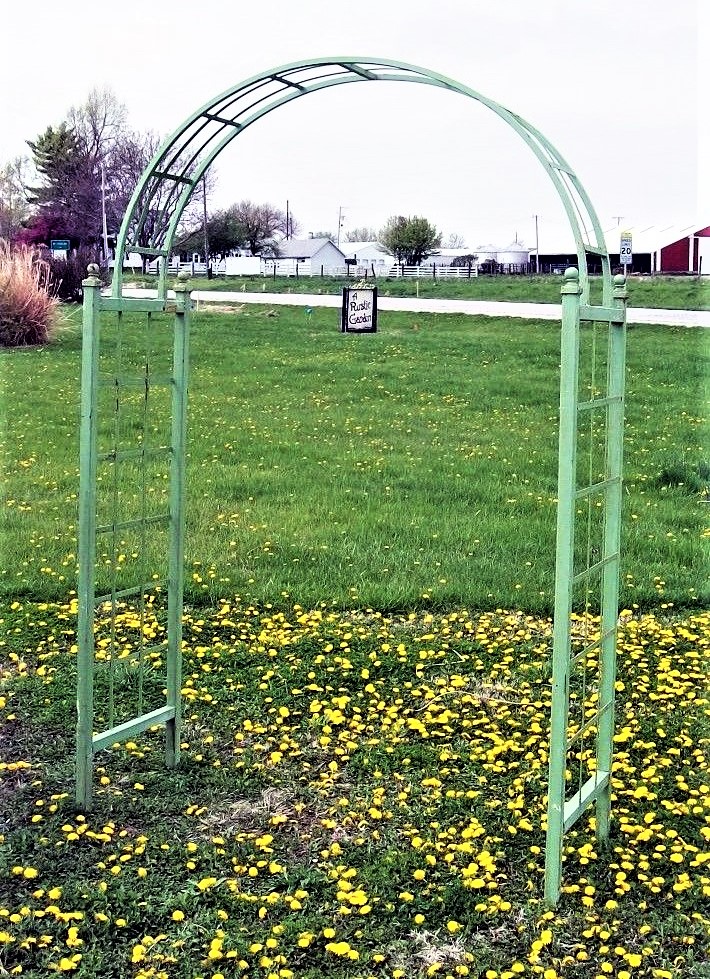 Wrought Iron Dome Ivy Climb Arch - Garden Trellis