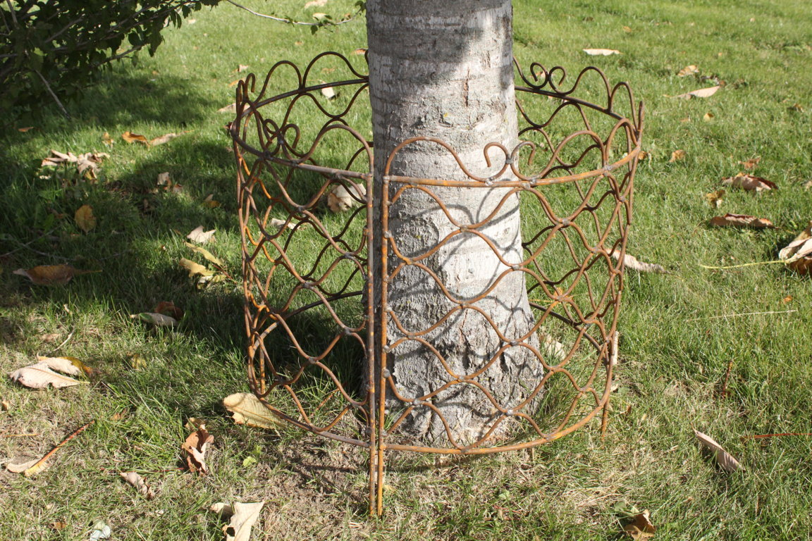 Wrought Iron Half Circle Fence Tree Surrounds
