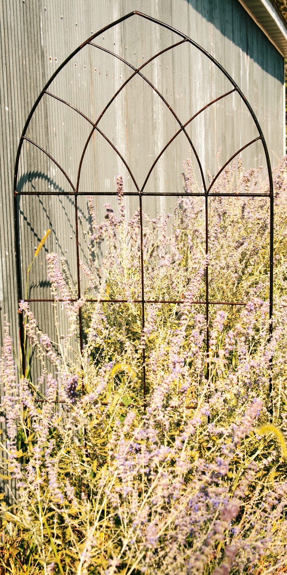 Wrought Iron Mission Trellis - 2 Sizes