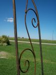 Wrought Iron Narrow Arch for Sale - Garden Trellis OUT OF STOCK