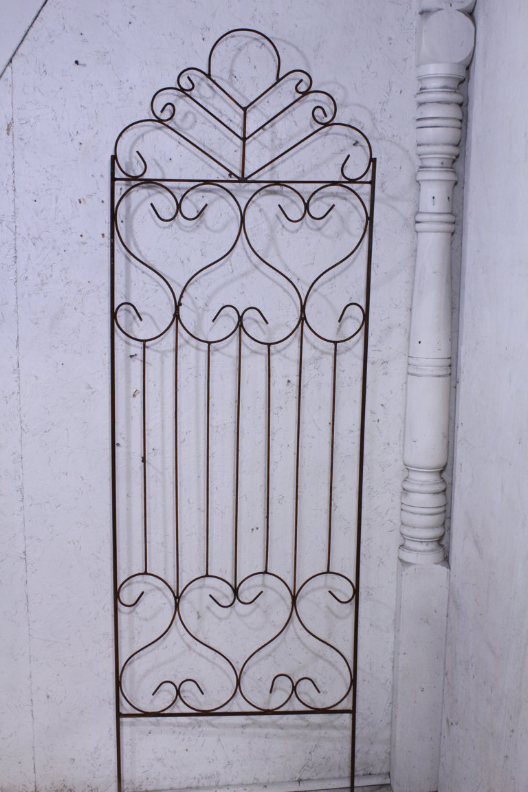 Wrought Iron Princess Flowering Vine Trellis