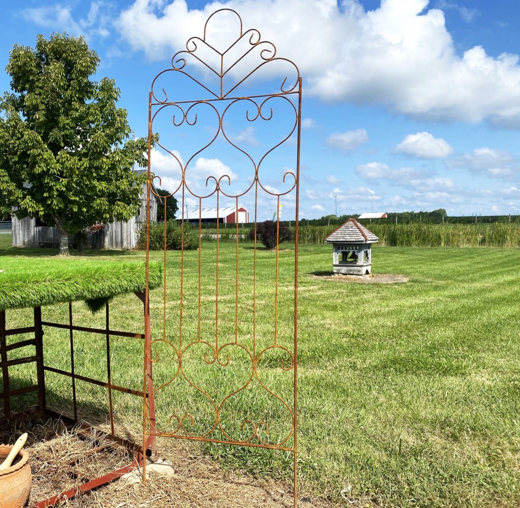Wrought Iron Princess Flowering Vine Trellis