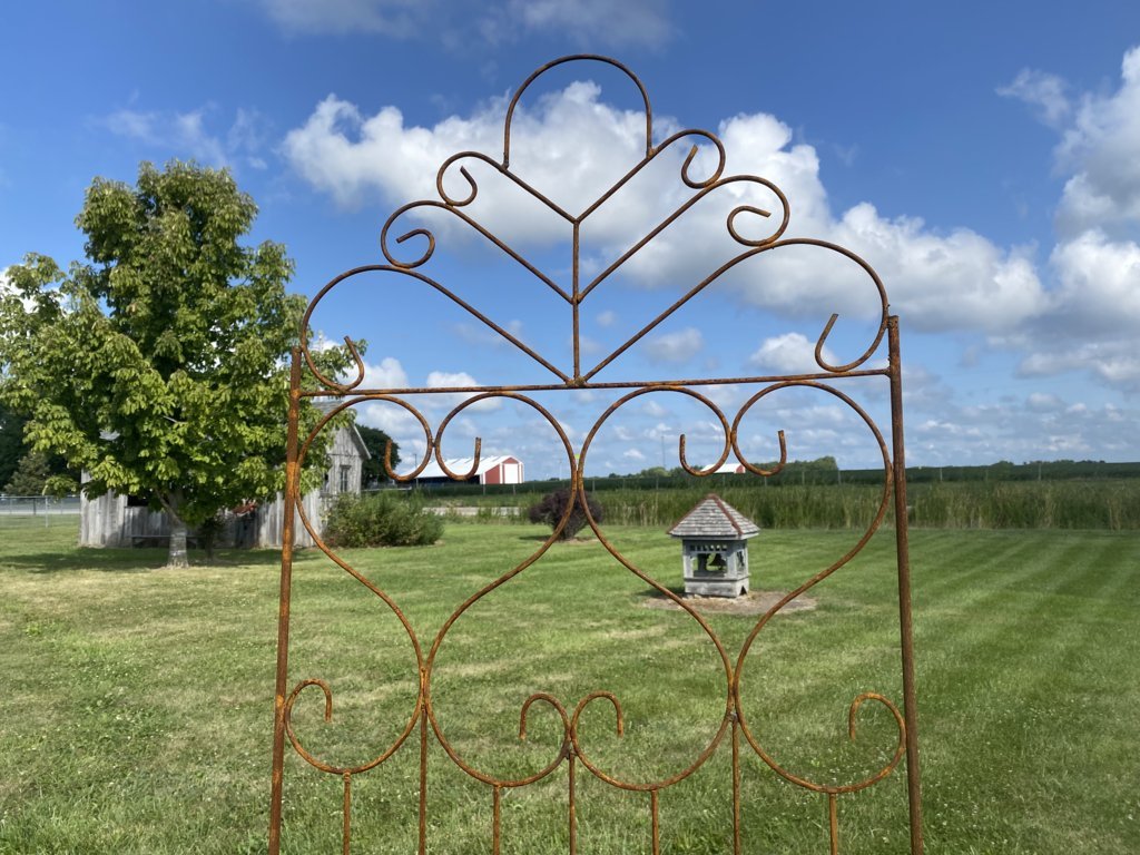 Wrought Iron Princess Flowering Vine Trellis