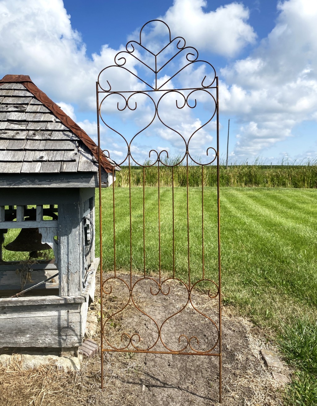 Wrought Iron Princess Flowering Vine Trellis