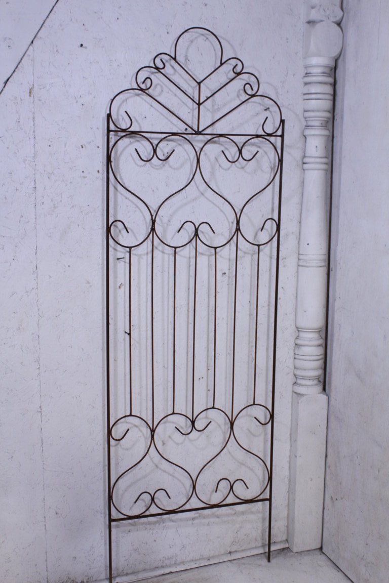 Wrought Iron Princess Flowering Vine Trellis