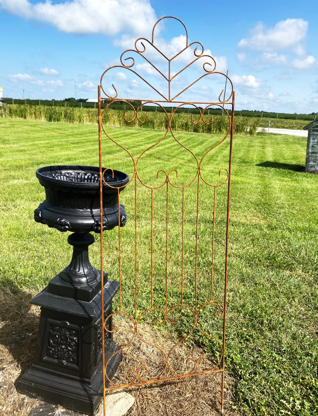 Wrought Iron Princess Flowering Vine Trellis