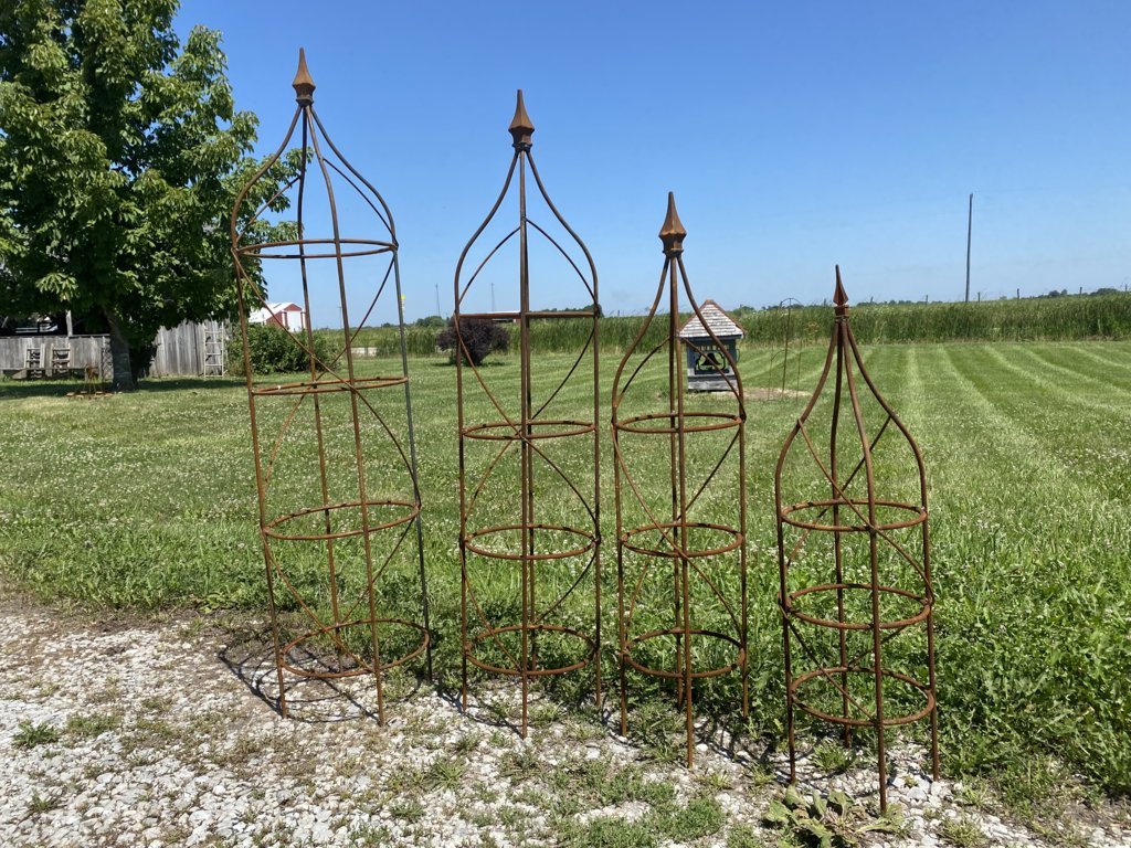 Wrought Iron Rose Obelisk - Flower Topiary
