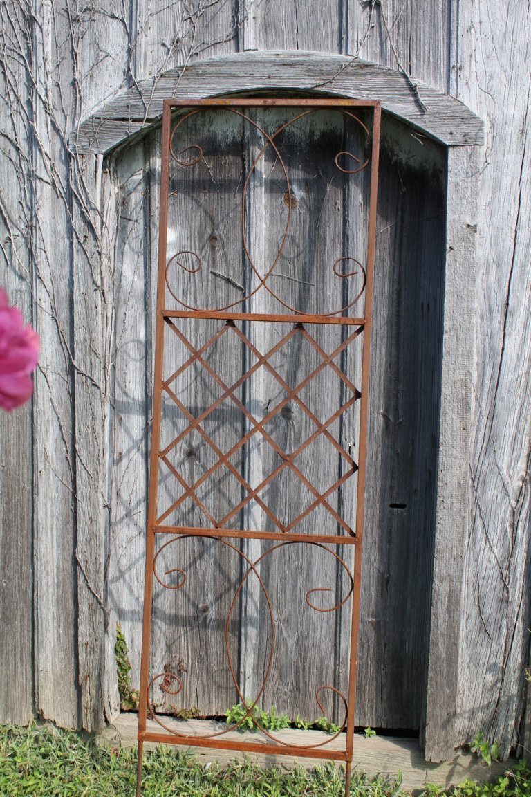 Wrought Iron Skyview Trellis for Vines and Plants