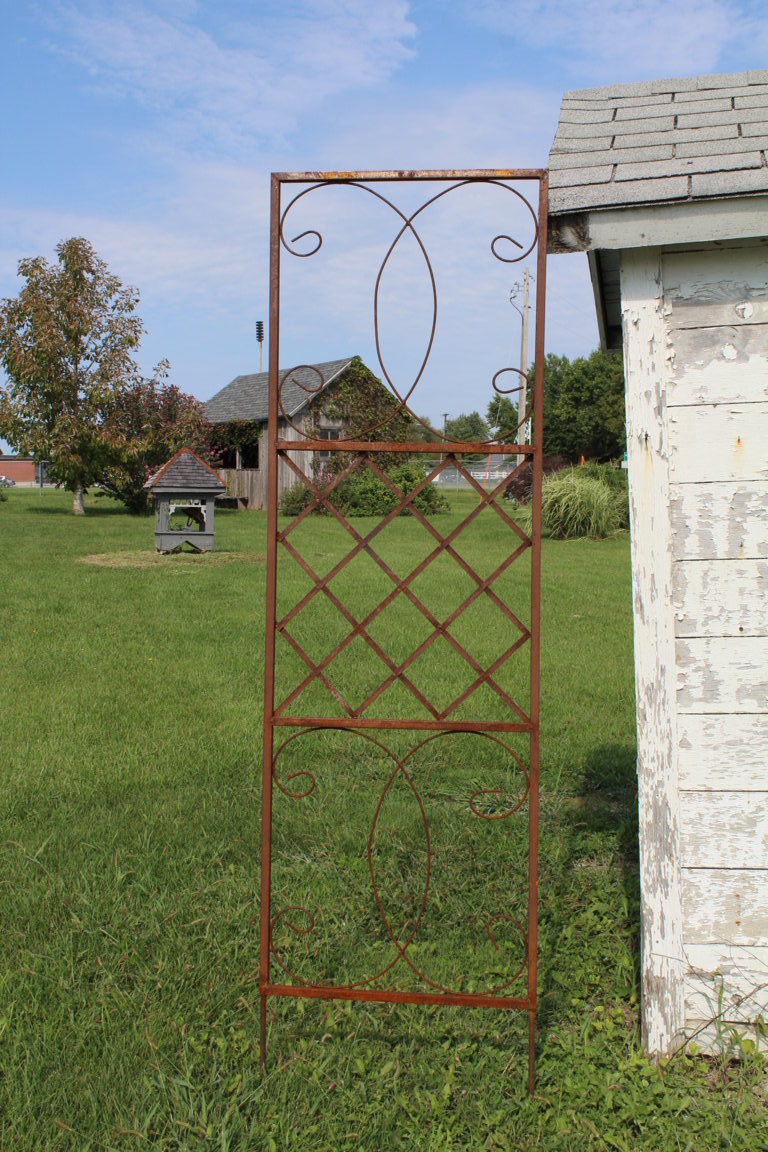 Wrought Iron Skyview Trellis for Vines and Plants