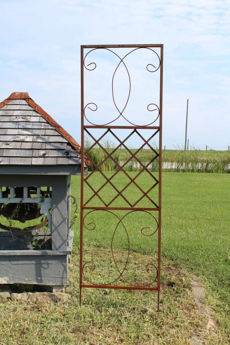Wrought Iron Skyview Trellis for Vines and Plants