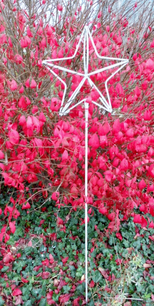 Wrought Iron Star Garden Stake - Lawn Ornament