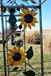 Wrought Iron Sunflower Arbor Plant Support Trellis