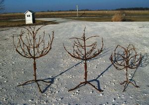 Wrought Iron Tree - Outdoor & Lodge Decor