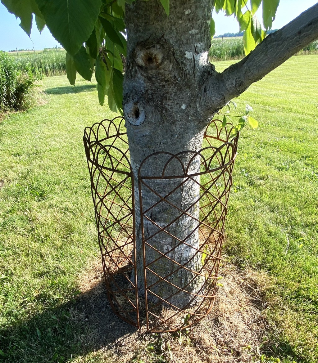 Wrought Iron Tree Surround Fence Decorative Edging