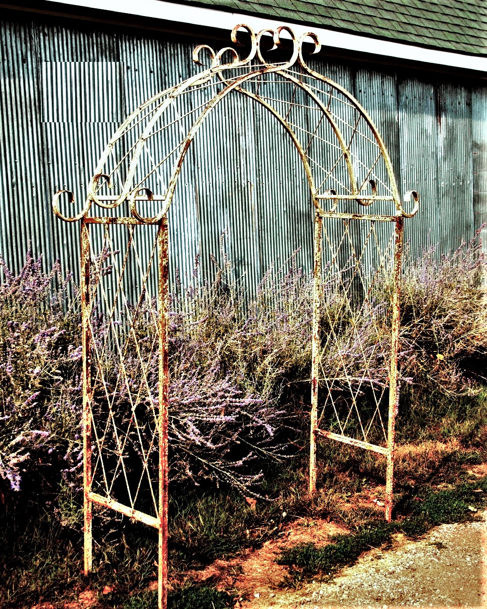 Wrought Iron X Arch Trellis - Flower Arbor