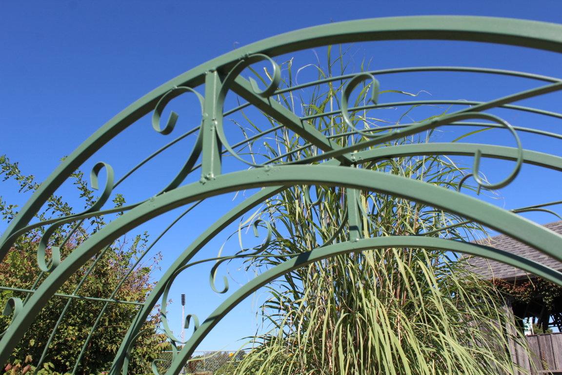 Wrought Iron XL Round Top Arbor - Flower Garden Arch