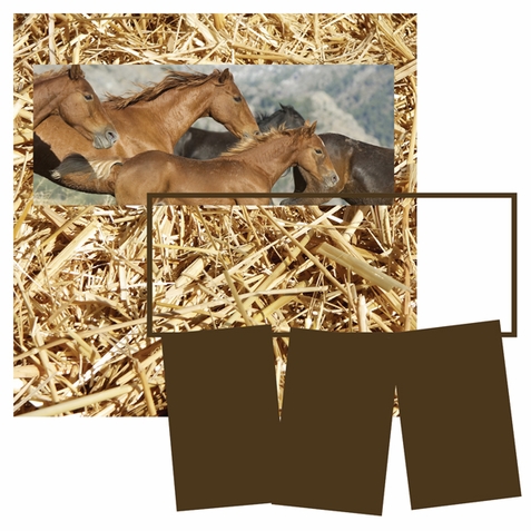 2SYT Panorama: Running Horses Frame Kit