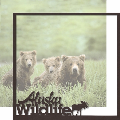 SYT Overlay Quick Page