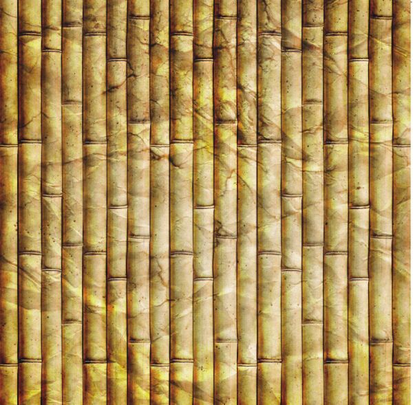 Bamboo 12 x 12 Paper