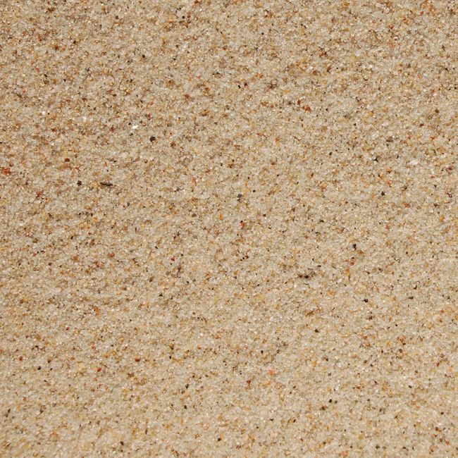 Beach Sand 12 x 12 Paper