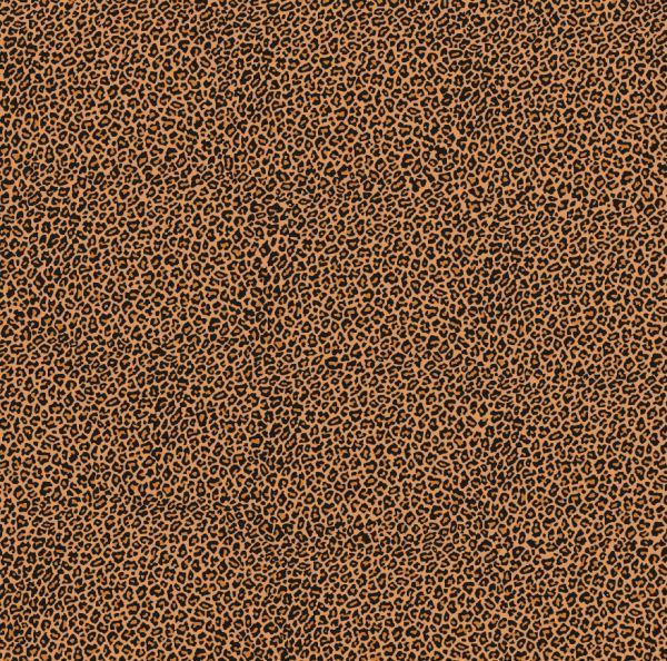 Cheetah Print 12 x 12 Paper