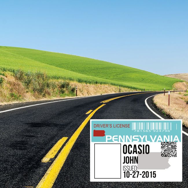 Custom Driver's License 12 x 12 Paper