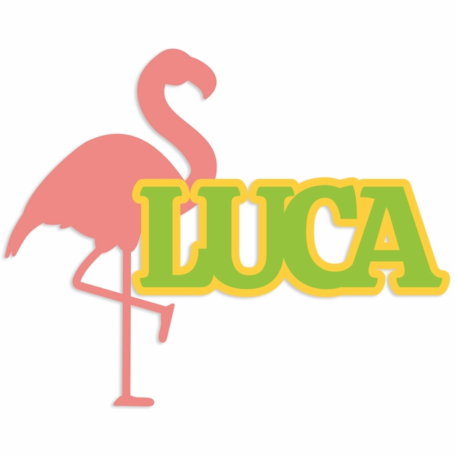 Custom Flamingo with Name Laser Die Cut