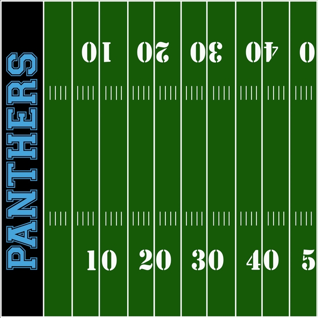 American Football Field Vertical
