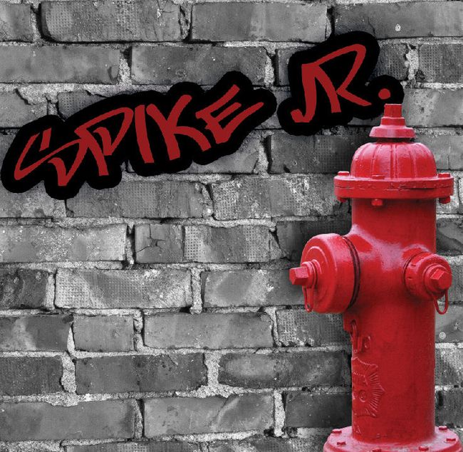 2SYT Custom Graffiti and Fire Hydrant 12 x 12 Paper