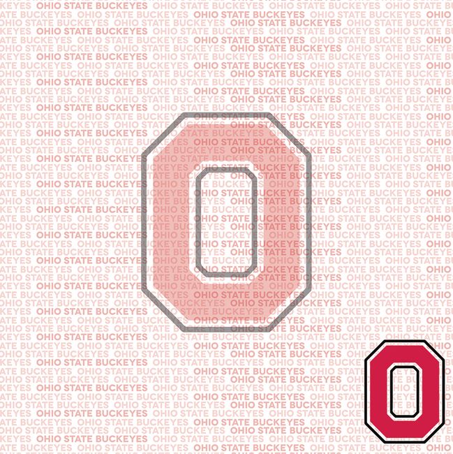 Fanatic: Ohio State 12 x 12 Paper