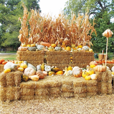 Farming Scrapbooking