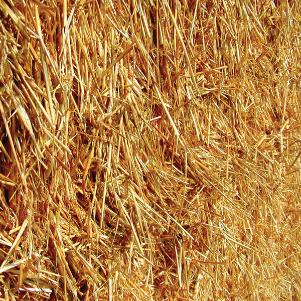 Hay Bale Texture 12 x 12 Paper