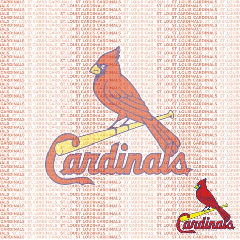 MLB Fanatic: St. Louis Cardinals 12 x 12 Paper