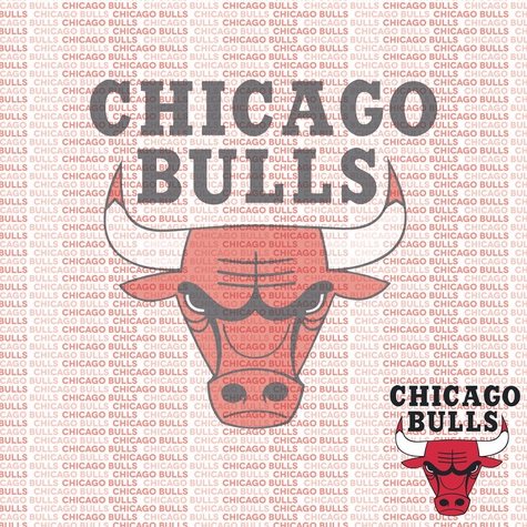 NBA Fanatic: Chicago Bulls 12 x 12 Paper