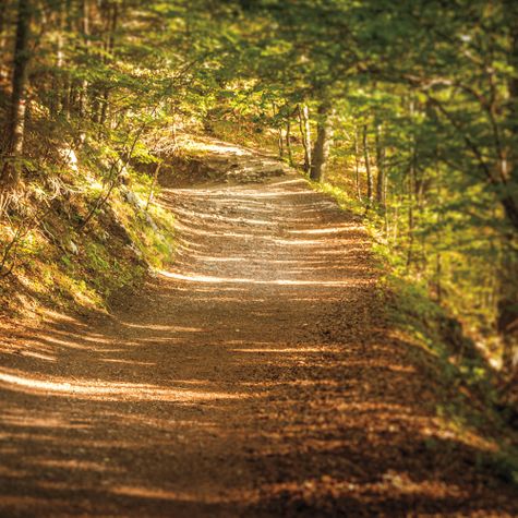 Outdoors: Born to Roam 12 x 12 Paper