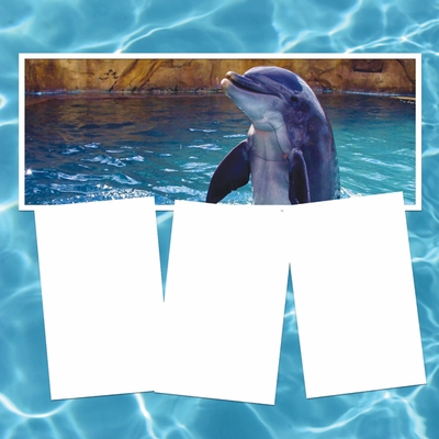 Aquarium Scrapbooking