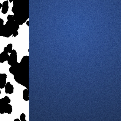 Southwest & Wild West Scrapbooking