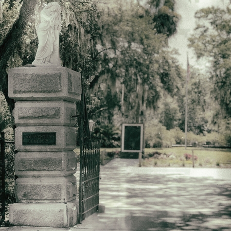 Savannah: Bon Aventure Cemetary 12 x 12 Paper