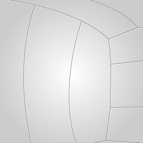 Sports Close-Ups: Volley Pattern 12 x 12 Paper