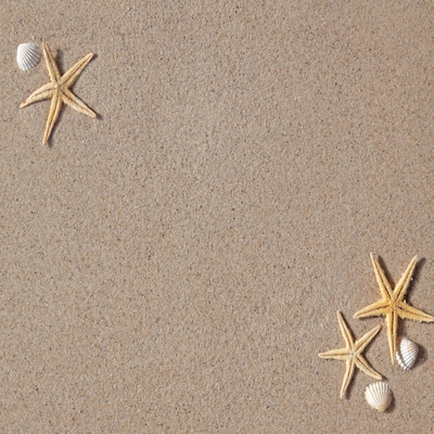 Beach and Tropical Scrapbooking Items!