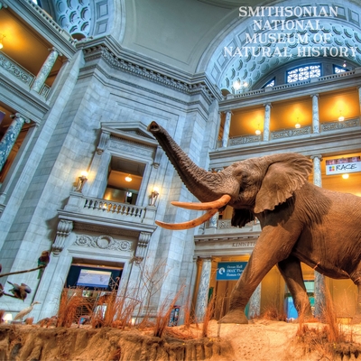 Washington DC Scrapbooking