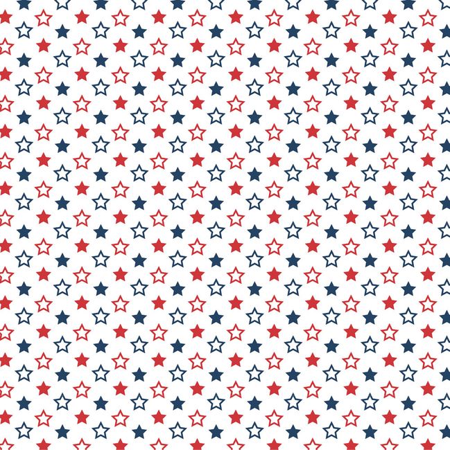 Washington D.C: Smithsonian 12 x 12 Paper