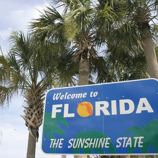 Welcome To: Florida 12 x 12 Paper