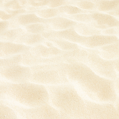 White Sand Beach 12 x 12 Paper