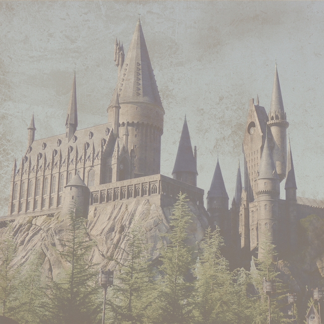 Wizard World: Wizard World 12x12 Paper